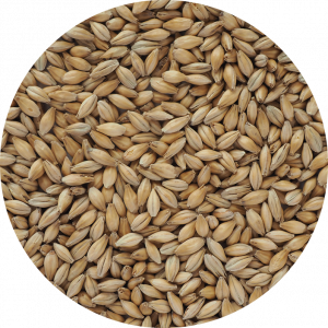 Crisp Malt | British Malting Company | Manufacturer & Malt Supplier