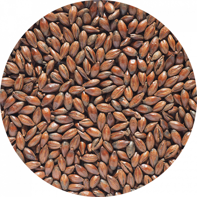 Crisp Malt | British Malting Company | Manufacturer & Malt Supplier