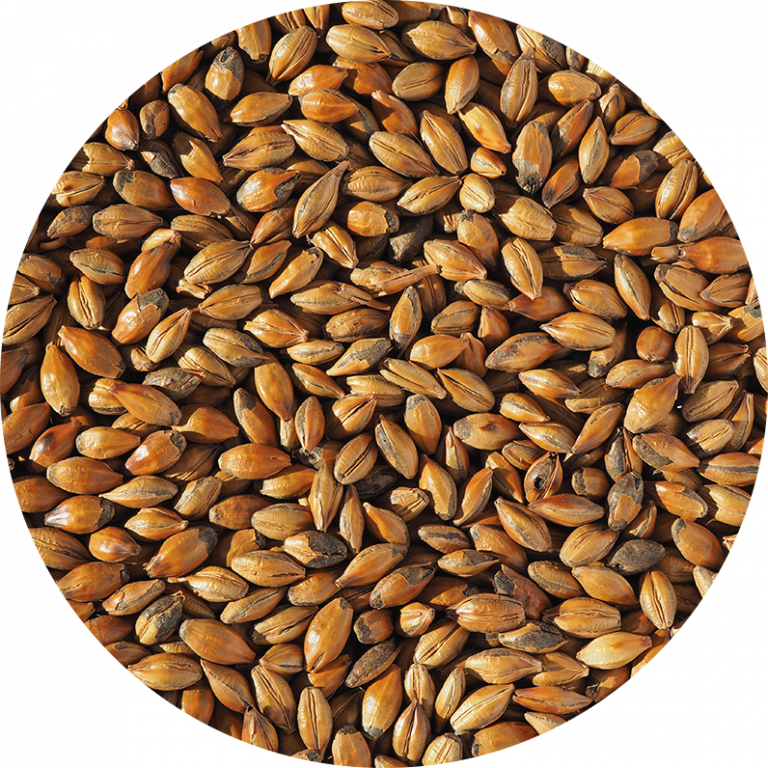 Crisp Malt | British Malting Company | Manufacturer & Malt Supplier