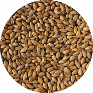 Crisp Malt | British Malting Company | Manufacturer & Malt Supplier