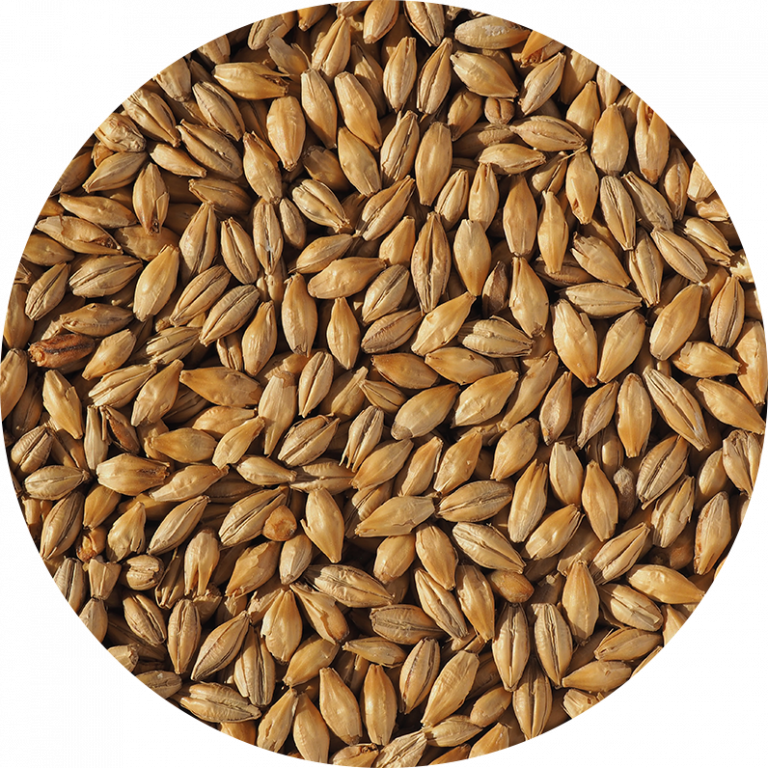 Our Malts | Crisp Malt | British Wholesale Malt Supplier since 1870