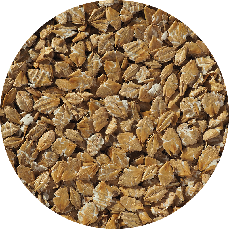 Flaked Torrefied Barley | Crisp Malt Barley Flakes for Brewing Beer