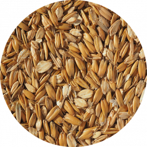 How to Use Oats In Brewing Beer | Hazy Type Beers | Crisp Malt