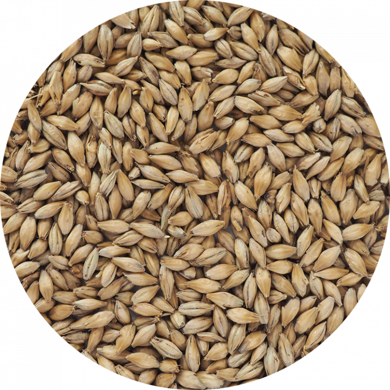 German Pilsen Malt From Crisp | German Brewing Malt For Continental Lagers