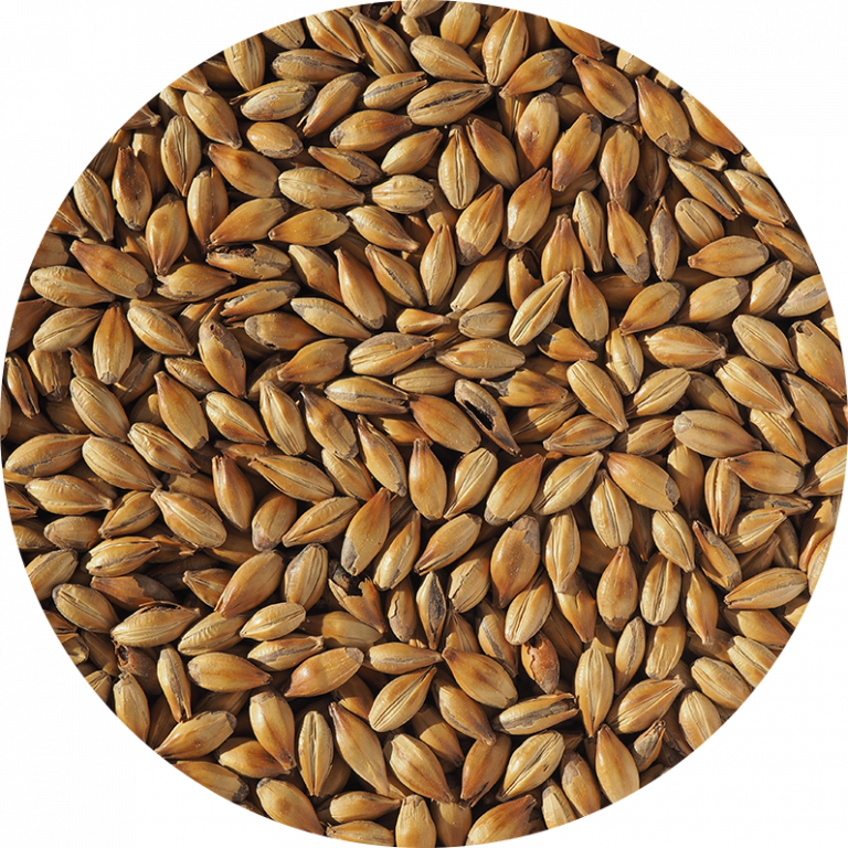 Bitter Recipe | Traditional English Best Brewing Malt | Crisp Malt