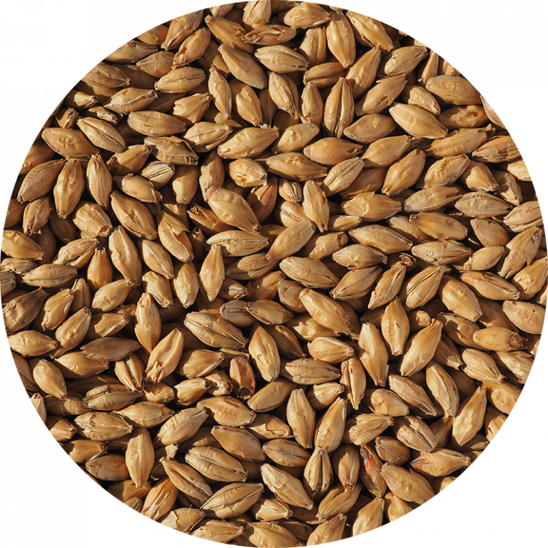 Our Malts | Crisp Malt | British Wholesale Malt Supplier since 1870