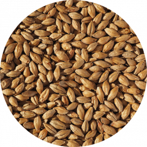 Crisp Malt | British Malting Company | Manufacturer & Malt Supplier