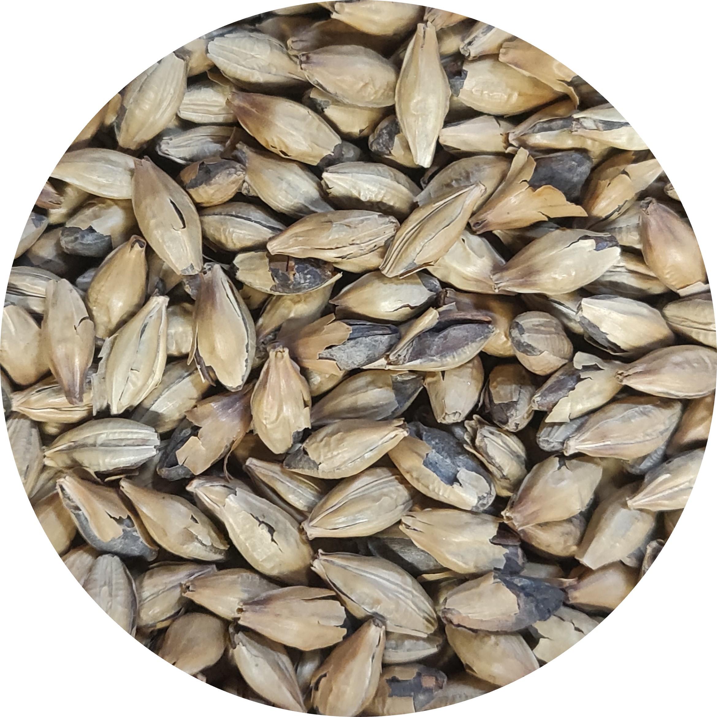 Smooth Coffee Malt | Crisp Malt Small Batch Series | British Brewing Malt