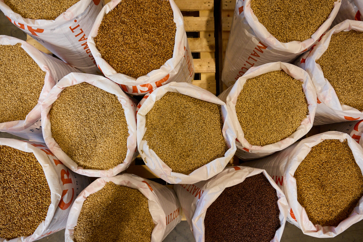 Crisp Malt | British Malting Company | Manufacturer & Malt Supplier