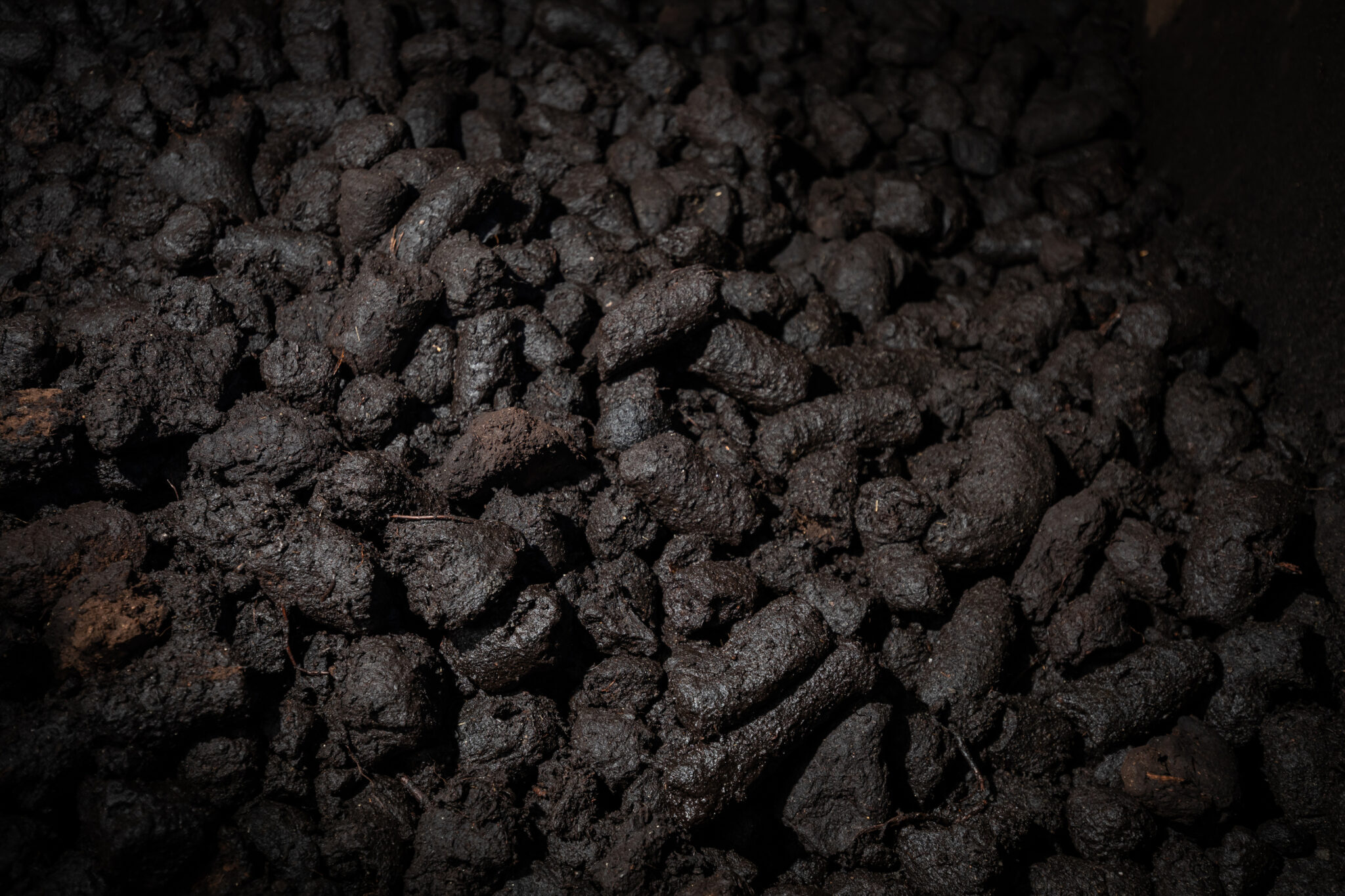 Peated Malt | Why Is Peated Malt Special? | Scottish Distilling Malt