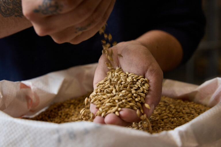 Better Barley, Better Brew | Clear Choice Malt | Cost Saving Malt